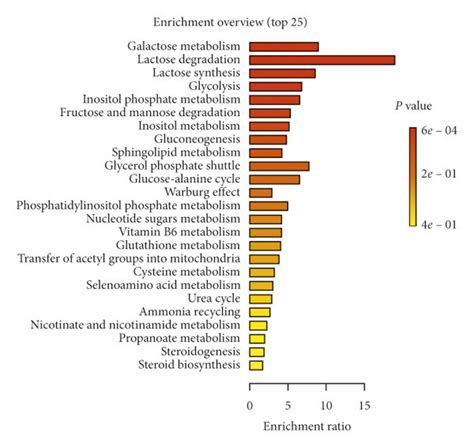 Lung Metabolomics Based On Gc Ms For Comparison Of Model And Gardeniae Download Scientific