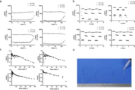 Rheological Characterizations Of OKPP Hydrogels A Strain Amplitude