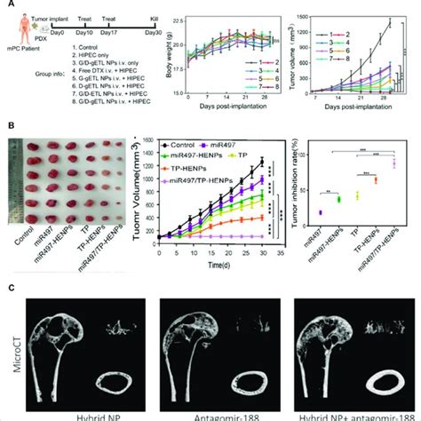 Applications Of Membrane Fusion Based Hybrid Exosomes A