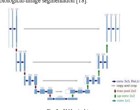 Figure 2 From Preoperative Image Segmentation For Organ Visualization Using Augmented Reality