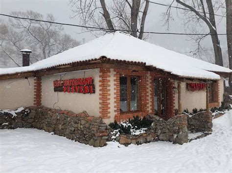 განთავსება და კვება პარკის გარშემო