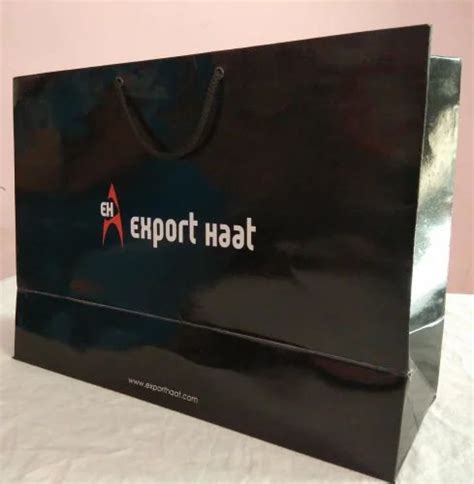 Luxury Paper Carry Bag For Shopping Capacity 2kg At Rs 30piece In Delhi
