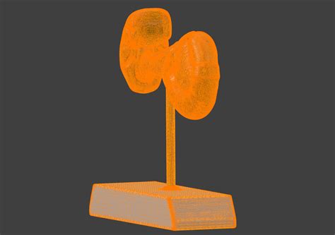 3d Spleen Pancreas And Duodenum Anatomy Model By Azekapeka