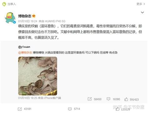 警惕！火锅店、超市惊现蓝环章鱼 研究人员回应：剧毒不可食用 知乎