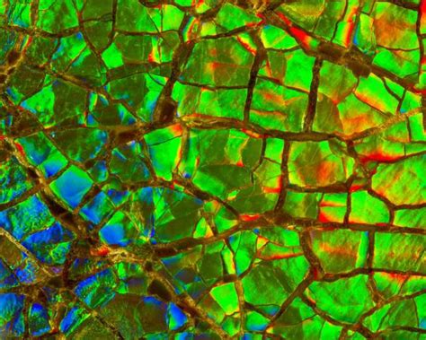 Amazing Images Under The Microscope That Reveal Invisible To The Naked