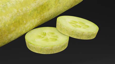 Cucumber Pickles 3d Model By Thedazking