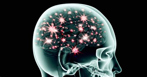 9 Tactics To Build A Stronger Memory And Mind Big Think