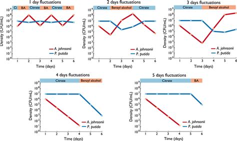 Mathematical Model Predicts Different Ecological Outcomes Depending On Download Scientific