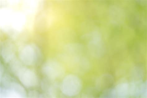 Premium Photo Soft Focus Green Nature Spring Background