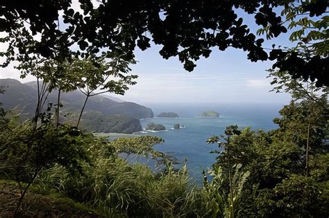 Trinité Et Tobago Les Incontournables Que Faire Que Voir Que