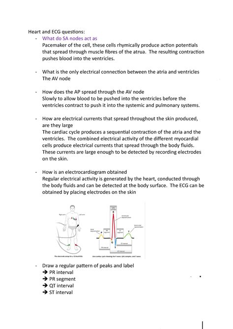 Ecg Practical Questions Heart And Ecg Questions What Do Sa Nodes