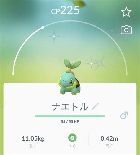 【ポケモンgo】ナエトルの色違い、 入手方法と実装状況 攻略大百科