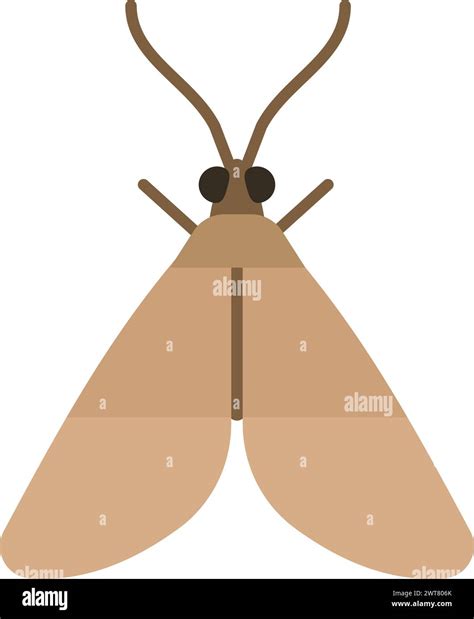 Moth Color Icon Flying Insect Nature Symbol Stock Vector Image And Art