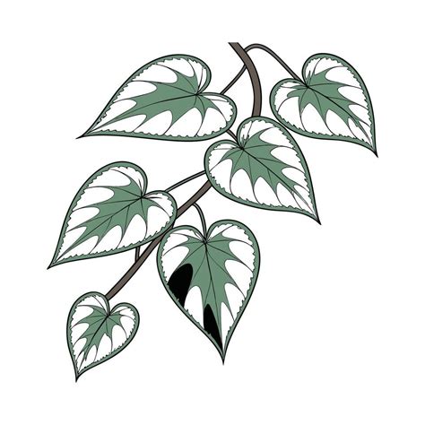 Stylish Variegated String Of Hearts Display 57608767 Vector Art At Vecteezy