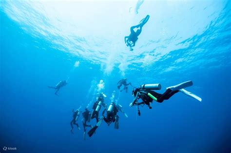 Padi Advanced Open Water Diver In Bali With Padi 5 Star Dive Resort