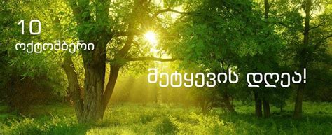 10 ოქტომბერი მეტყევის დღეა • • Batumelebi Ge