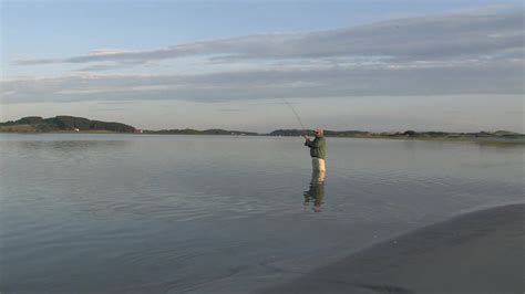 Fly Fish 71409 Striped Bass Fishing Ma 29 Inch How To Fly Fish