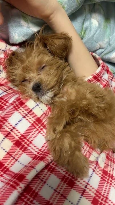 누나품이 최고😌 Youtube