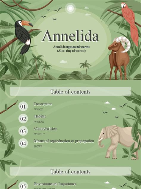 Annelida Pdf