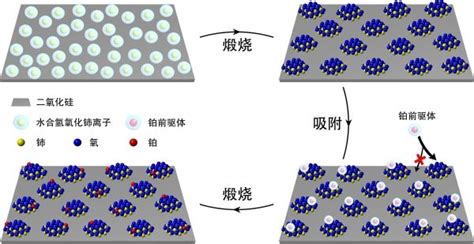 科学家报道“动而不聚”的原子级分散催化剂