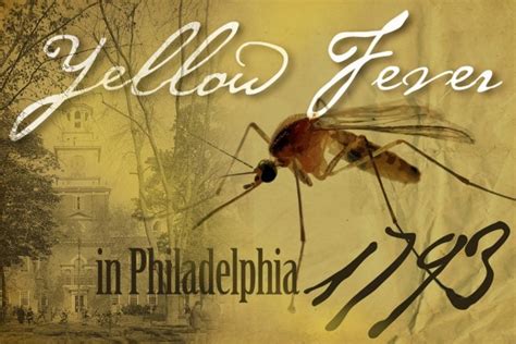Yellow Fever Epidemic Of 1793 All Was Not Right In Our City — Whyy