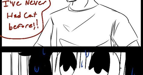 Cat Comic Imgur
