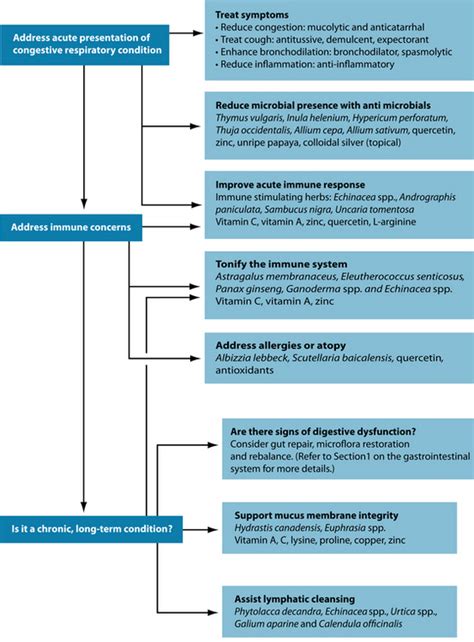 Congestive Respiratory Disorders Basicmedical Key