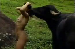 Phim Sex V N Th Ng V T N I Dung Khi U D M Th T Nh V Video Sex Ng V T