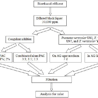 Flow Chart For Experiment Download Scientific Diagram