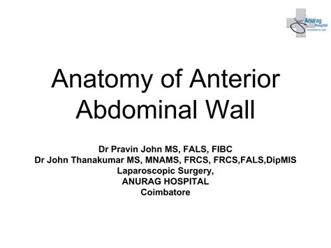 Anterior Abdominal Anatomy Ppt Pptx