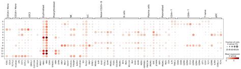 Preprocessing And Clustering — Scverse Tutorials