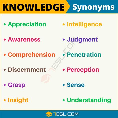 Information Synonym