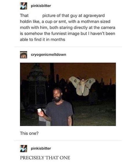 Yoooo Its Mothron Irl Terrariamemes