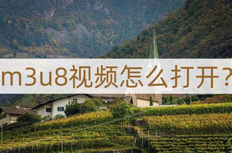 M3u8视频怎么打开？这两种方法要收藏好了 哔哩哔哩