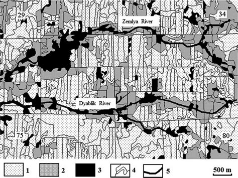 60 Fragment Of The Forest Inventory Map In The Area Between The Small