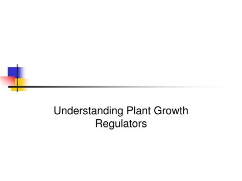 Ppt Understanding Plant Growth Regulators Powerpoint Presentation