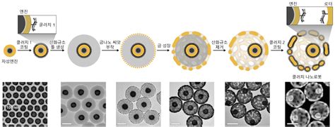 유전자 신호 감지해 스스로 클러치 작동하는 스마트 나노로봇 개발