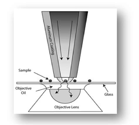 1 Schematic Representation Of A Possible Scanning Near Field Optical