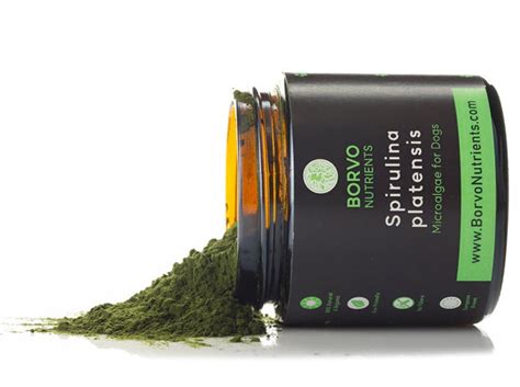Spirulina for Dogs - Premium Quality, Sustainable Supplement