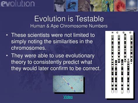 Evolution The Unifying Theory Of Zoology Ppt Download