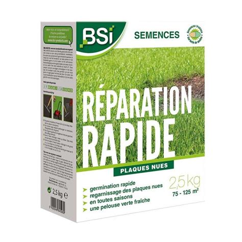BSI Semences Gazon Réparation kg