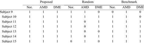 Decision Pooling Evaluation Across Proposed Random Initialization And
