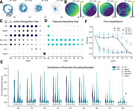 Contrasting Action And Posture Coding With Hierarchical Deep Neural