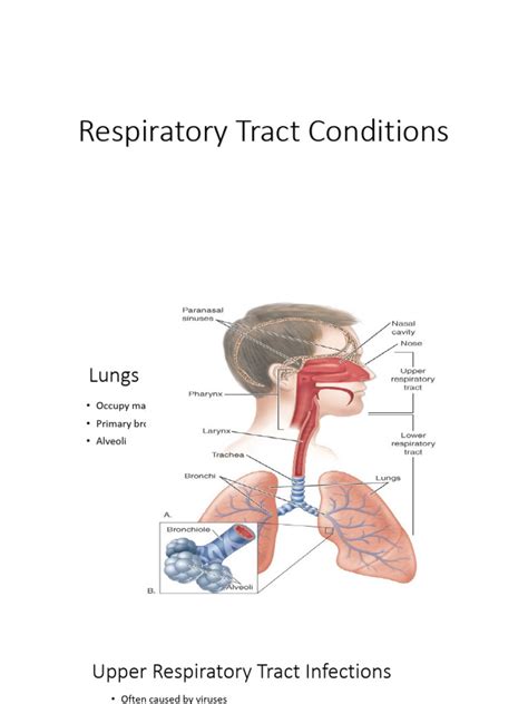 Respiratory Tract Conditions Pdf Pneumonia Bronchitis