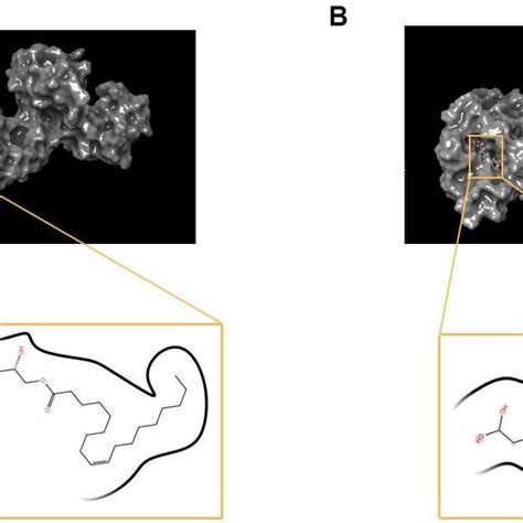 The Molecular Docking By Schrodinger Ligands Were Docked Into The