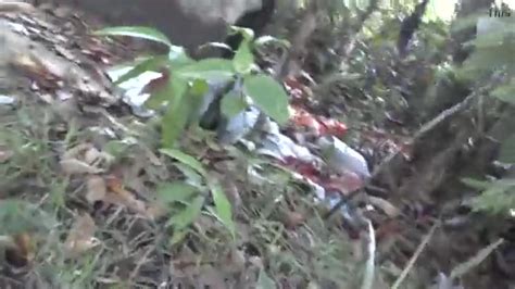 Noiada Do Cerrado Goiano Foi Pro Mato E Chupou A Rola Do Vizinho Cnn Amador