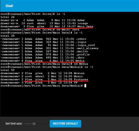 plex permissions truenas community