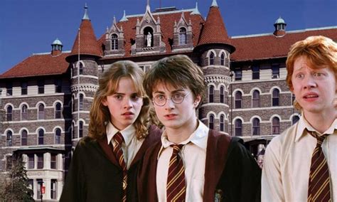 Festival De Harry Potter Tem Quadribol E Passeio Pelo Expresso De