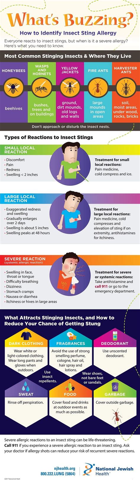 How To Identify Insect Sting Allergy Infographic Insect Stings