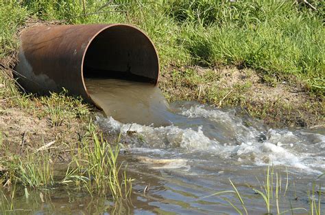 Actividad Humana Aumenta Contaminación De Ambientes Acuáticos Un